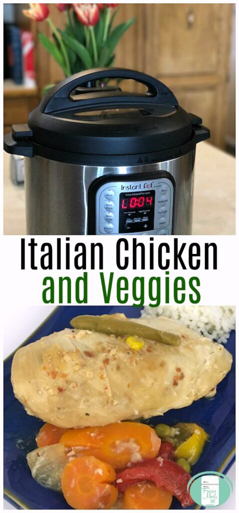 Instant Pot Italian Chicken and Veggies - Freezer Meals 101